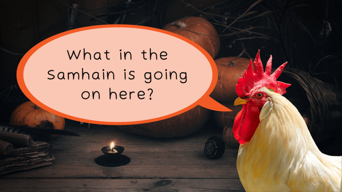 What in the Samhain…? – Aerik Arkadian