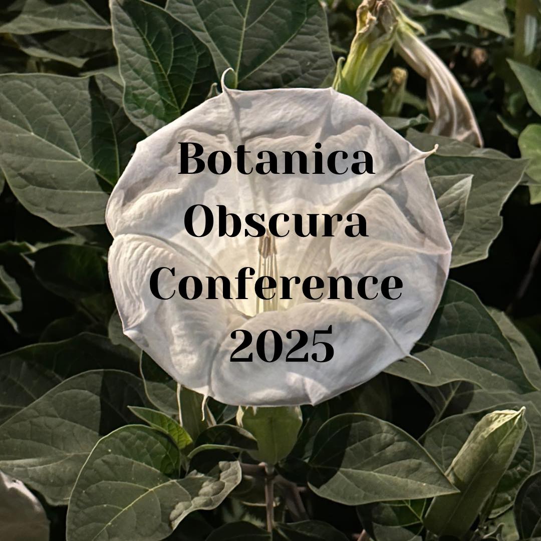 Three objects I can’t live without… Weekly Recap 3/3/2025 – Aerik Arkadian