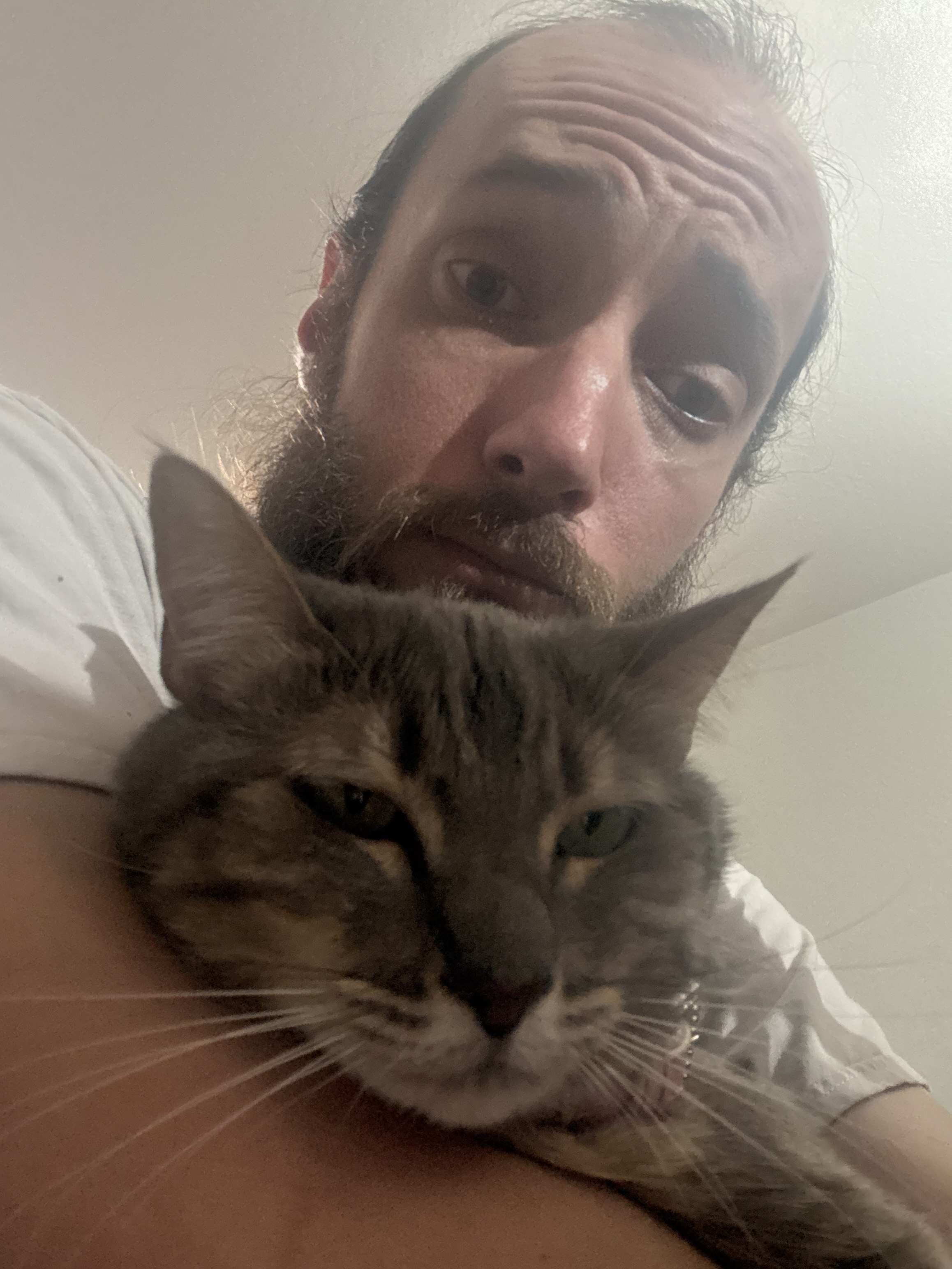 Well, if I had to choose… Weekly Recap 7/14/2025 – Aerik Arkadian